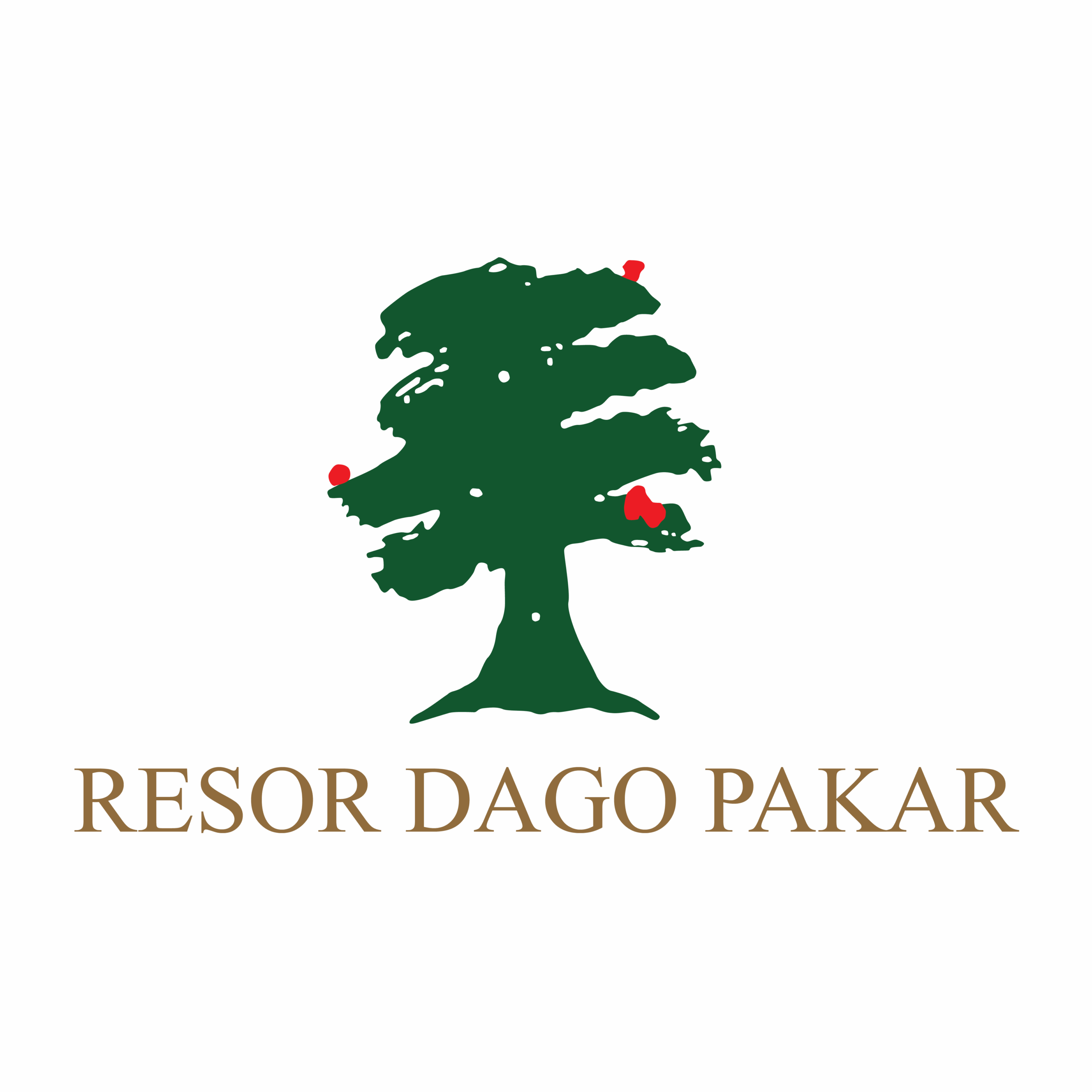 About Us - Official Website Resor Dago Pakar